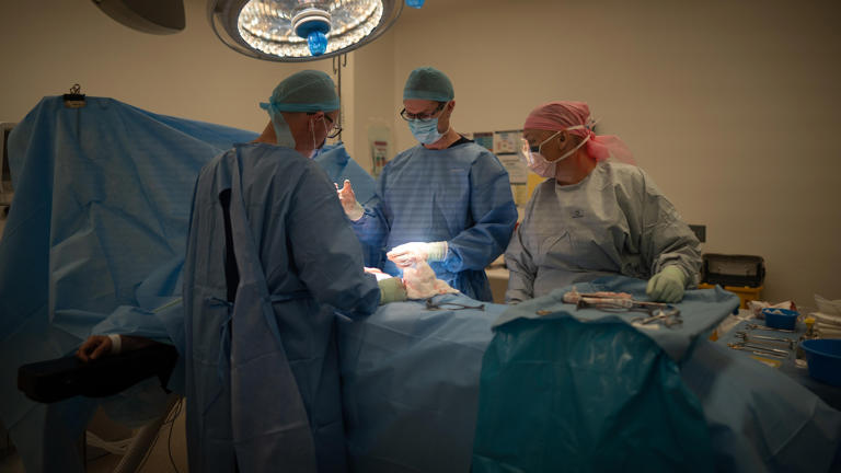 Funding in NSW budget for 'world-class' robotic surgery in Orange