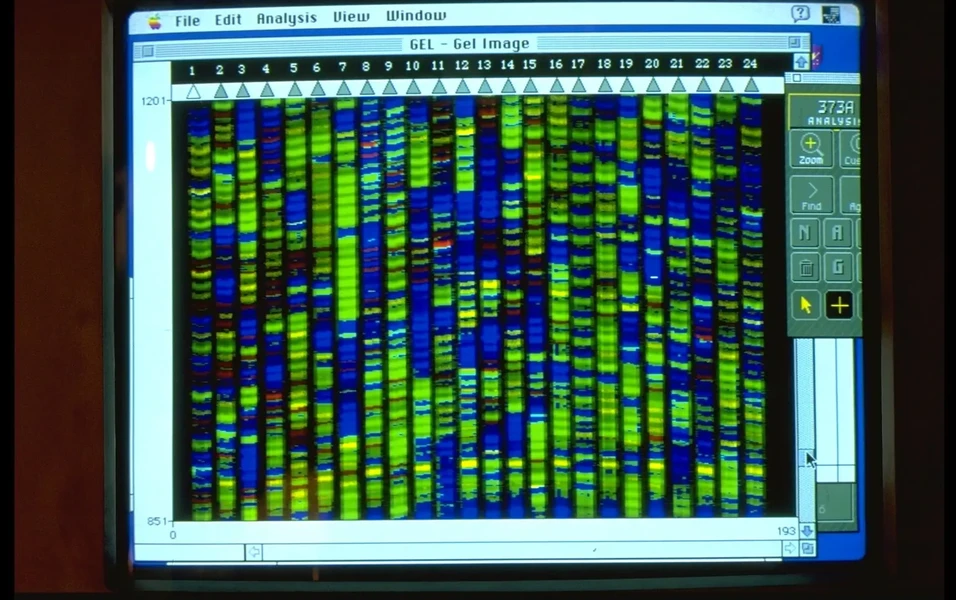 Genetic study uncovers ancient 'ghost' human lineage in West Africa