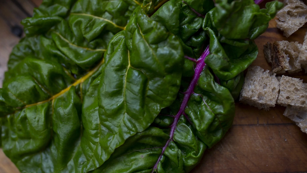 Swiss chard, jicama and hearty salads redefine healthy eating