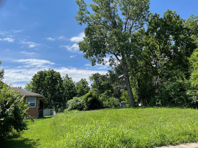 Blue Hills man worries tree owned by KCMO is a threat to his house