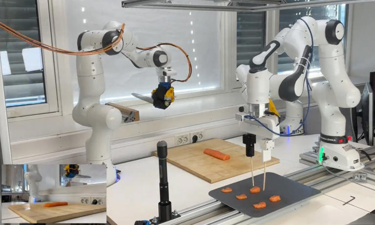 The sashimi robot is real and it doesn’t fumble at slicing and dicing