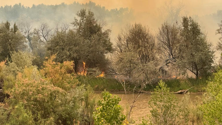 Crews respond to vegetation fire on island near Riverside Parkway and ...