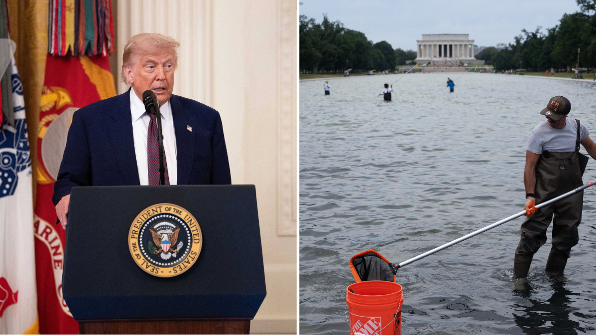 Trump’s latest Reflecting Pool claim raises new questions