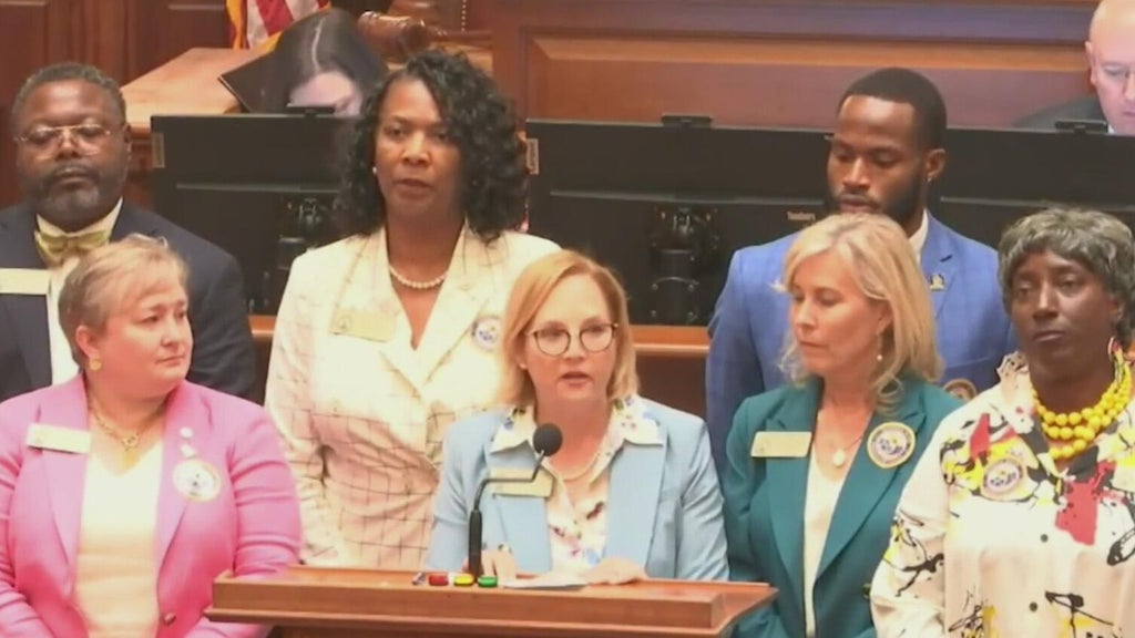 Advocates urge Georgia lawmakers to restore domestic violence funding ...
