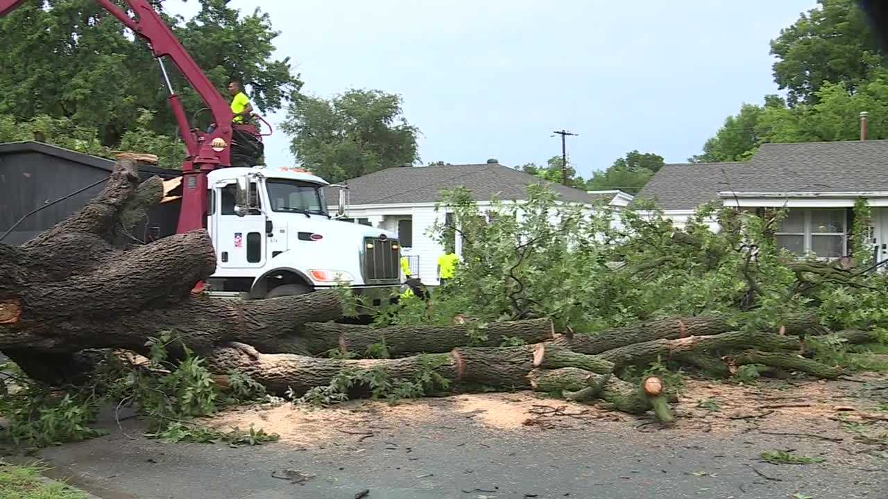 Storm topples 90-year-old pecan tree in Norman, damaging carport with ...