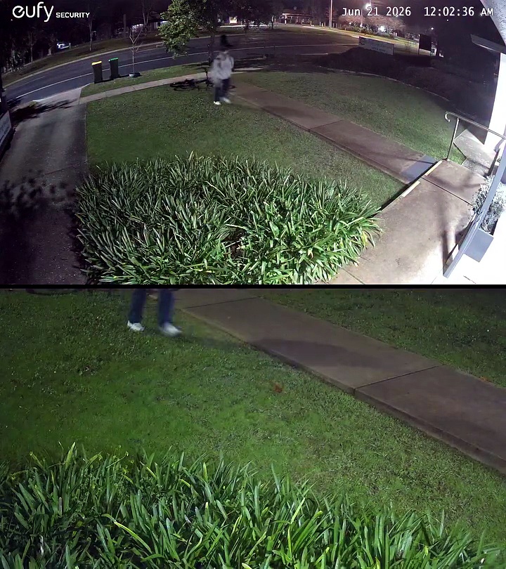 A man has been filmed stealing a package from a Wodonga business on ...