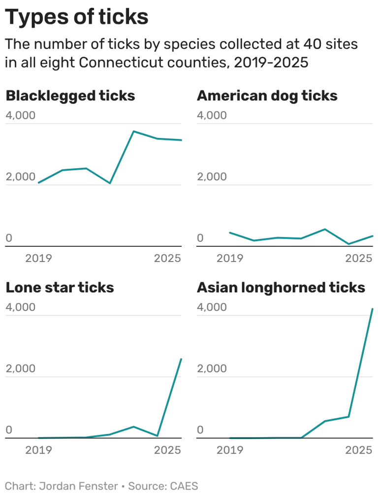 Connecticut's lone star tick population explodes, raising concern about ...