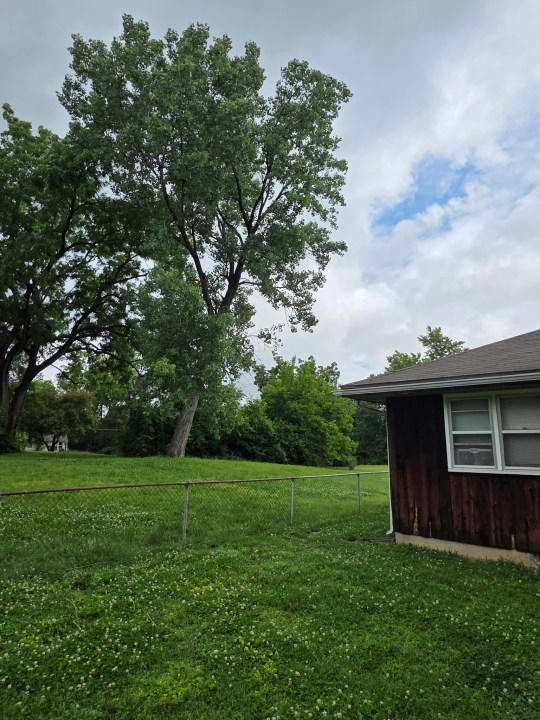 Blue Hills man worries tree owned by KCMO is a threat to his house