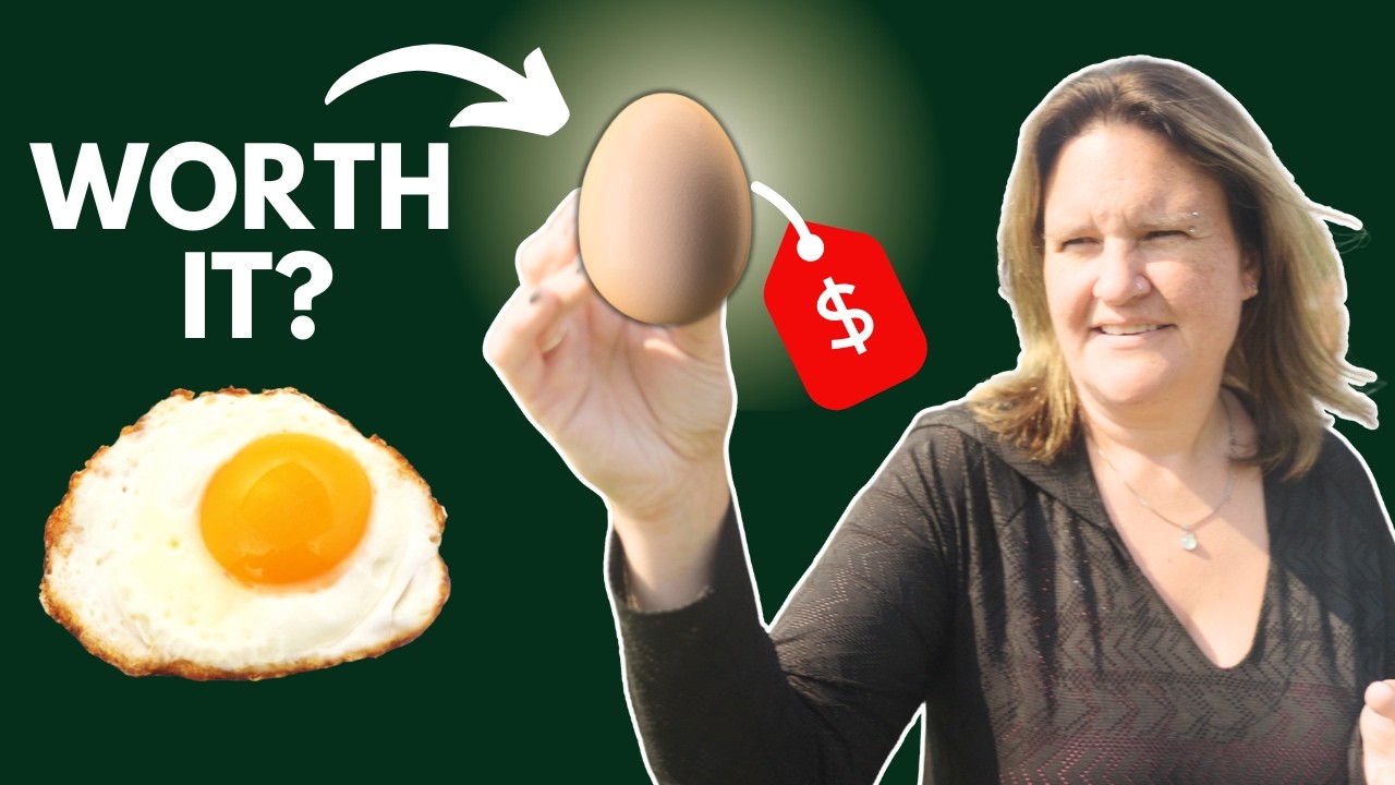 What's really inside eggs and why they cost more