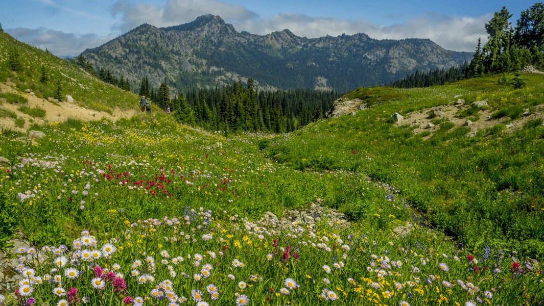 14 Scenic U.S. Spring and Short Hikes