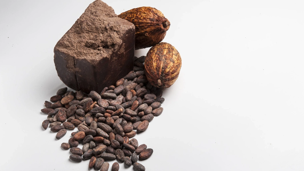 Cocoa extract’s role in heart and wellness benefits