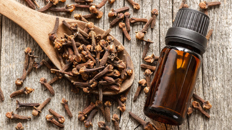 How to ward off spiders naturally using a common fragrance they can't ...
