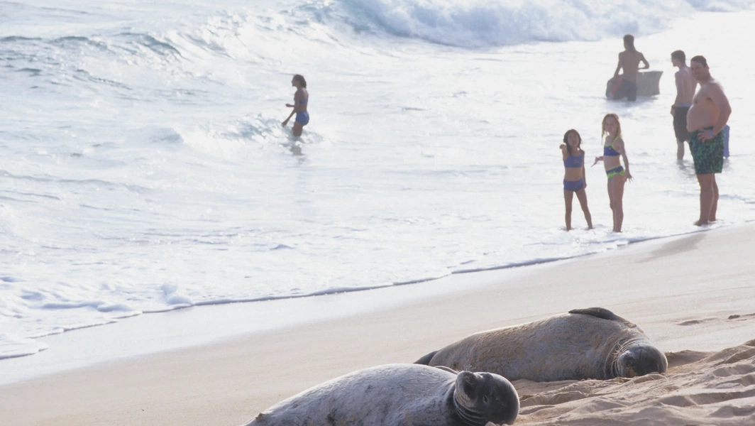 Niʻihau: Hawaii’s isolated cultural and ecological haven