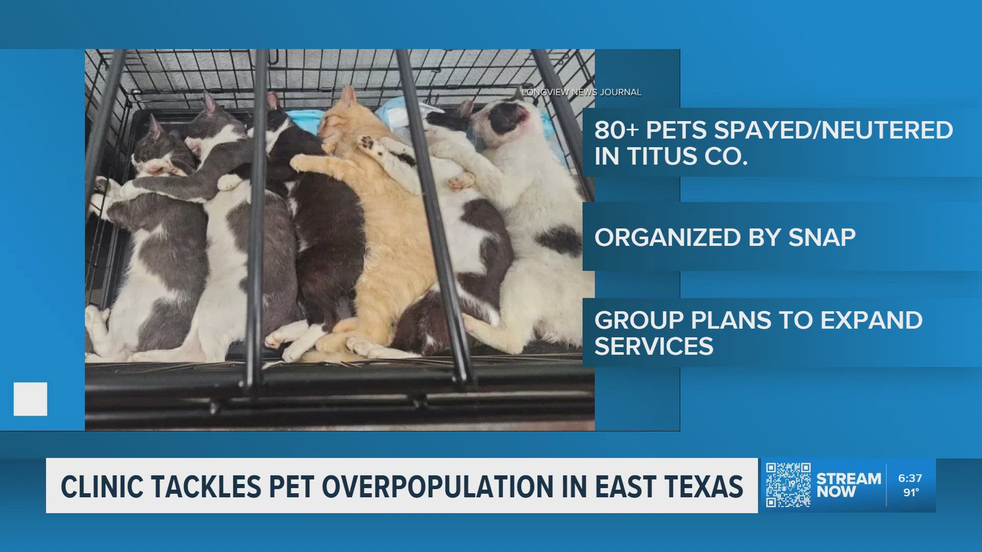 East Texans step up to support annual Compassion in Action food drive