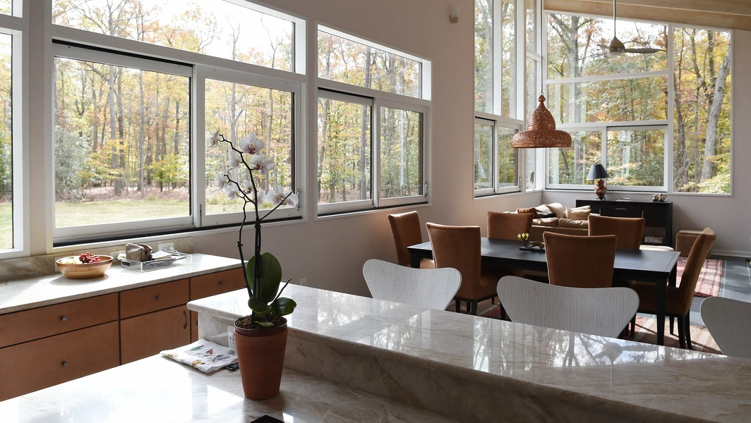 Reston mid-century home blends nature and modernism