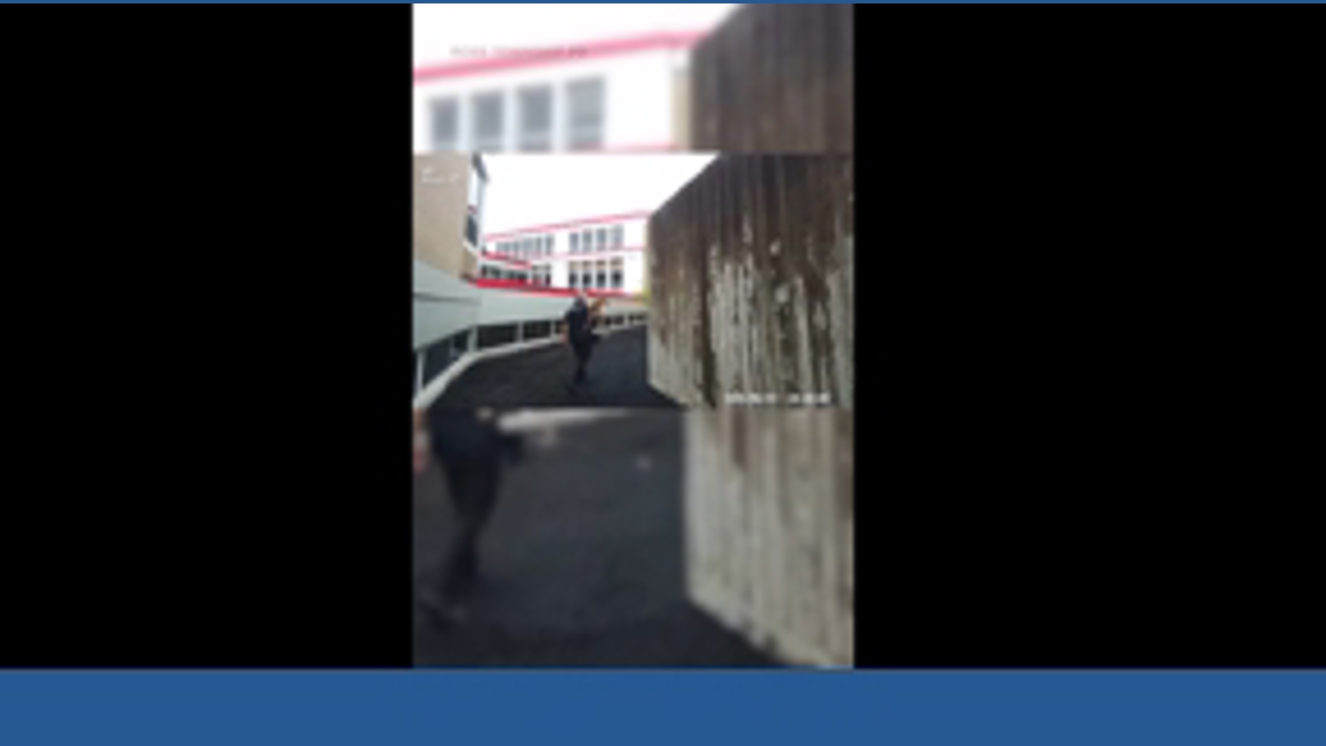 Nimble police officer nabs frightened deer