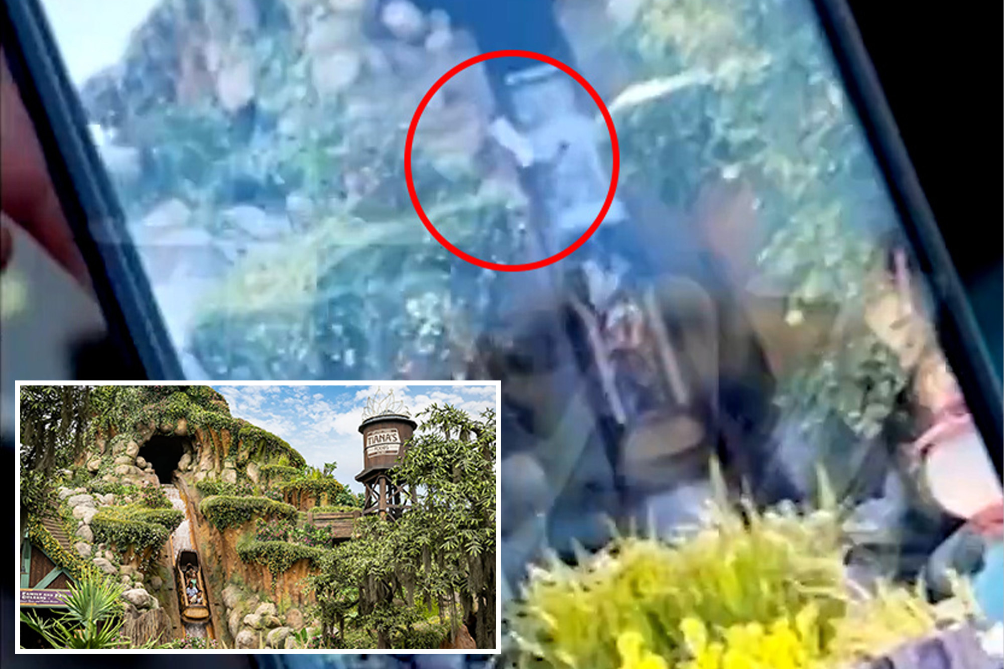 Horrifying video shows teen plunge over waterfall on Disneyland’s Tiana ...