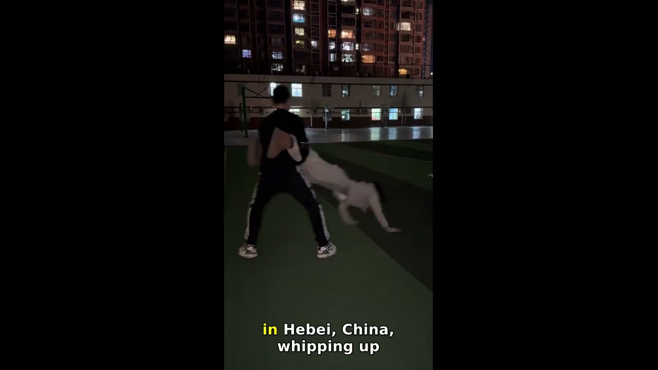 Friends create human propeller spin in Hebei