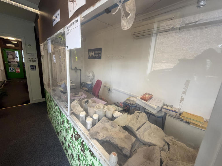 Inside the 'mini Jurassic Park' museum near Peterborough packed with ...