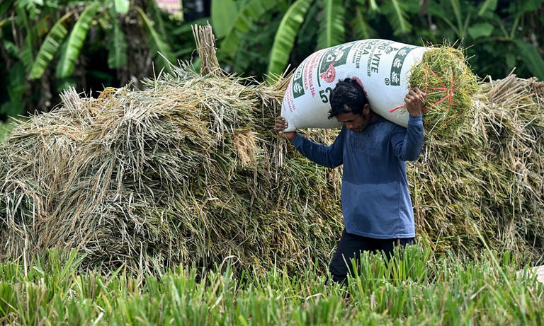 Indonesia to launch $1.5B economic support package, offer 10 kg rice ...