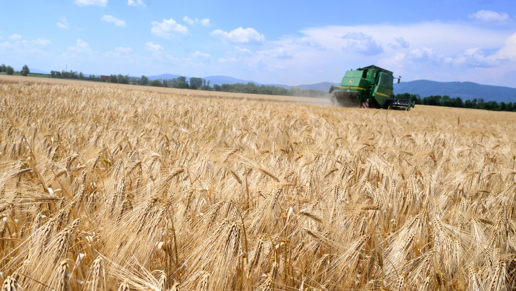 Global agriculture trends, challenges, and adaptations