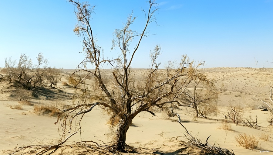 Expert views: Addressing water-management challenges in Central Asia