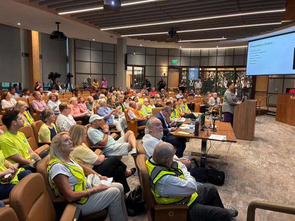 Brookhaven citizens call Windsor Parkway proposal ‘a yellow brick road ...