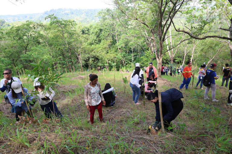 Communities, businesses plant 834 trees in Subic Bay for Arbor Day