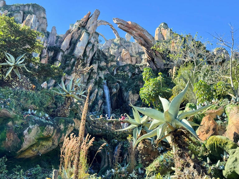 Best things to do at Animal Kingdom: My favorite rides, food & experiences