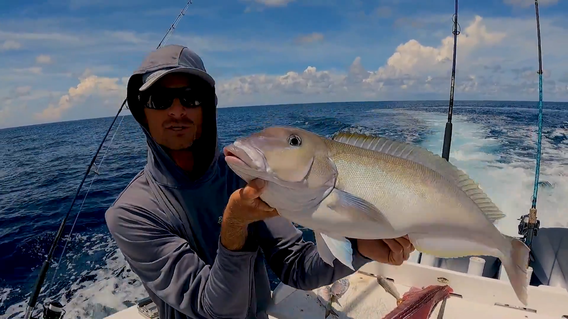 A giant shark appeared the moment we caught this fish