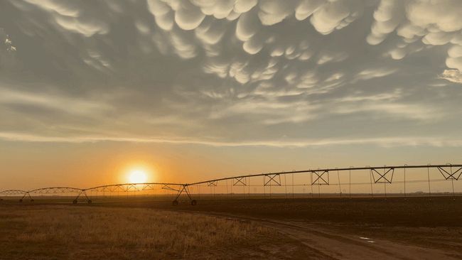 Stunning mammatus sunset dazzles in northern Texas