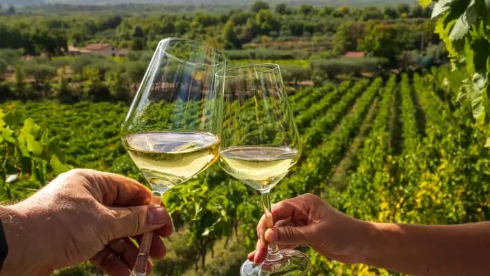 The alcoholic beverages that will do the least damage to your diet
