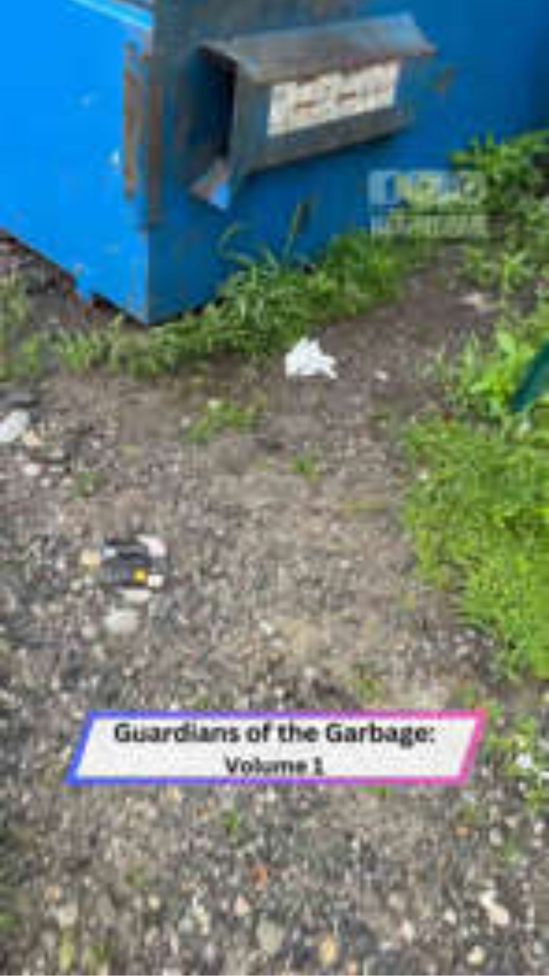 Helpless raccoons trapped in dumpster look to woman for help