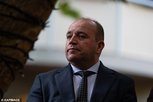 Bondi hero Ahmed Al Ahmed pleads not guilty after allegations he ...