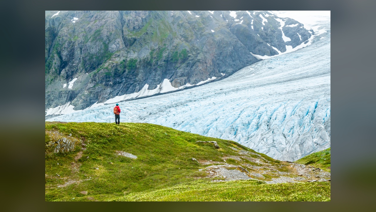 Whales, puffins, and rivers of ice: Alaska’s Kenai Fjords charges zero ...