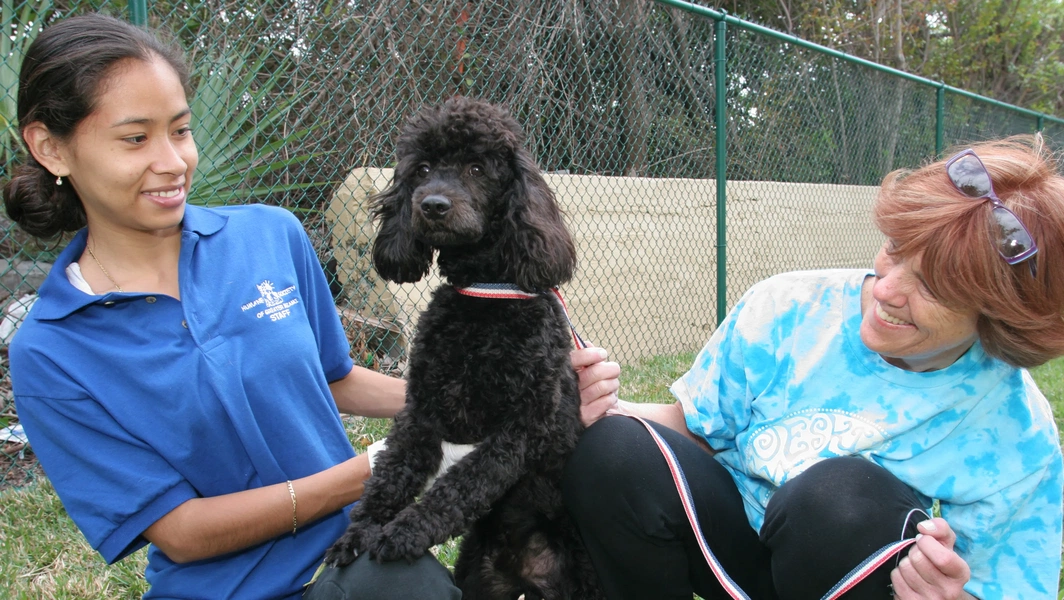 Helping Hands Humane Society’s summer adoption and care efforts