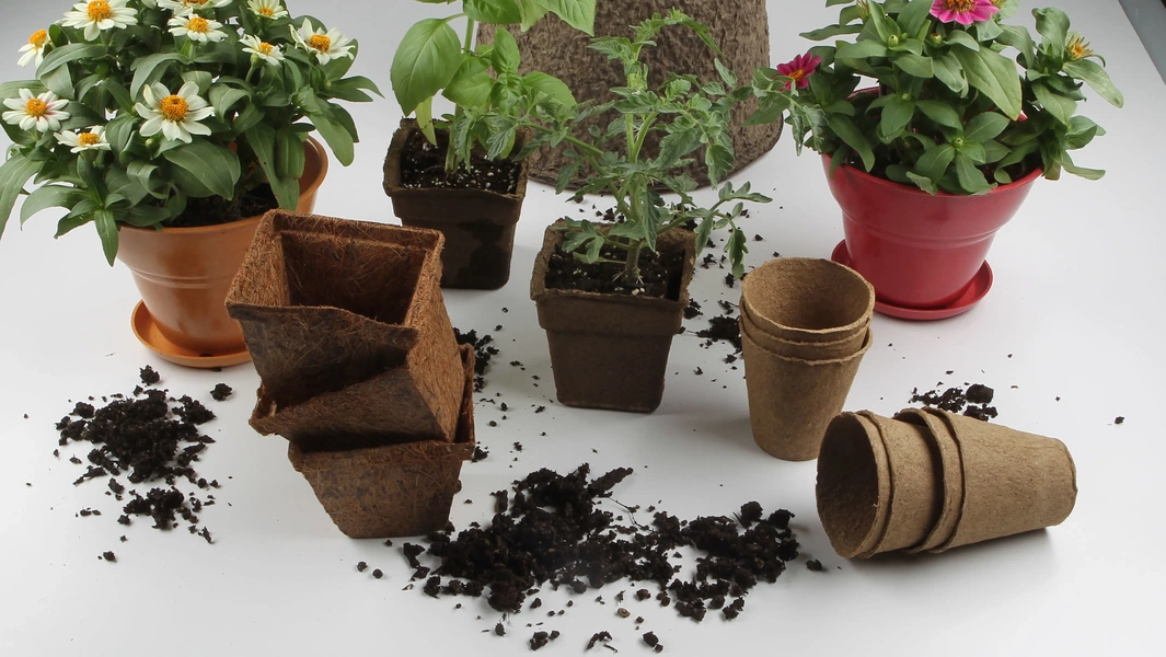 How to make and use cardboard planters