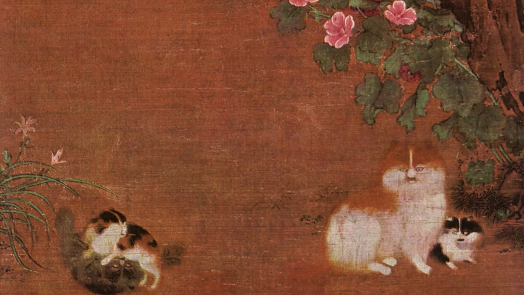 Why mother cats relocate their kittens