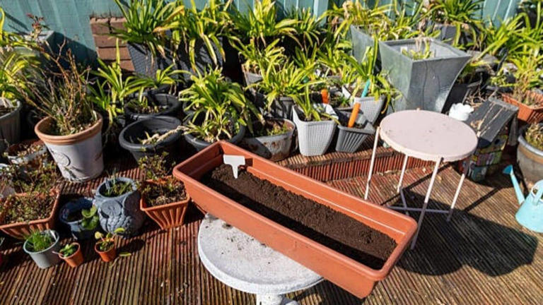 How to start balcony gardening in the UK: A beginner's step-by-step guide