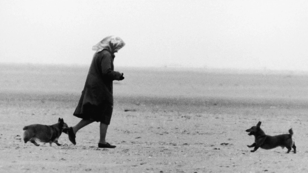 Queen Elizabeth II’s lifelong bond with corgis