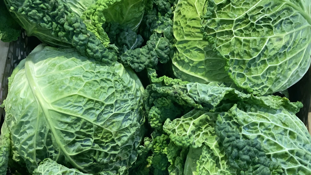 Cabbage recipes that spark joy in your kitchen