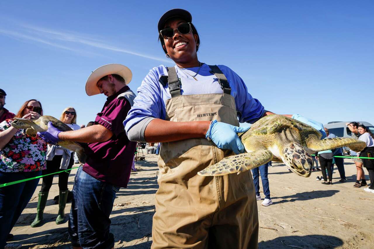 Houston Zoo invites public to Quintana Beach cleanup for sea turtle habitat