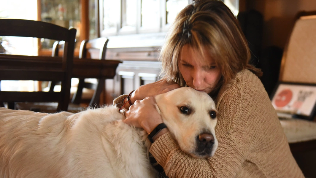 15 common habits that can stress your dog