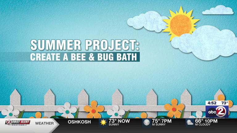 How to make a bee and bug bath for Pollinator Week