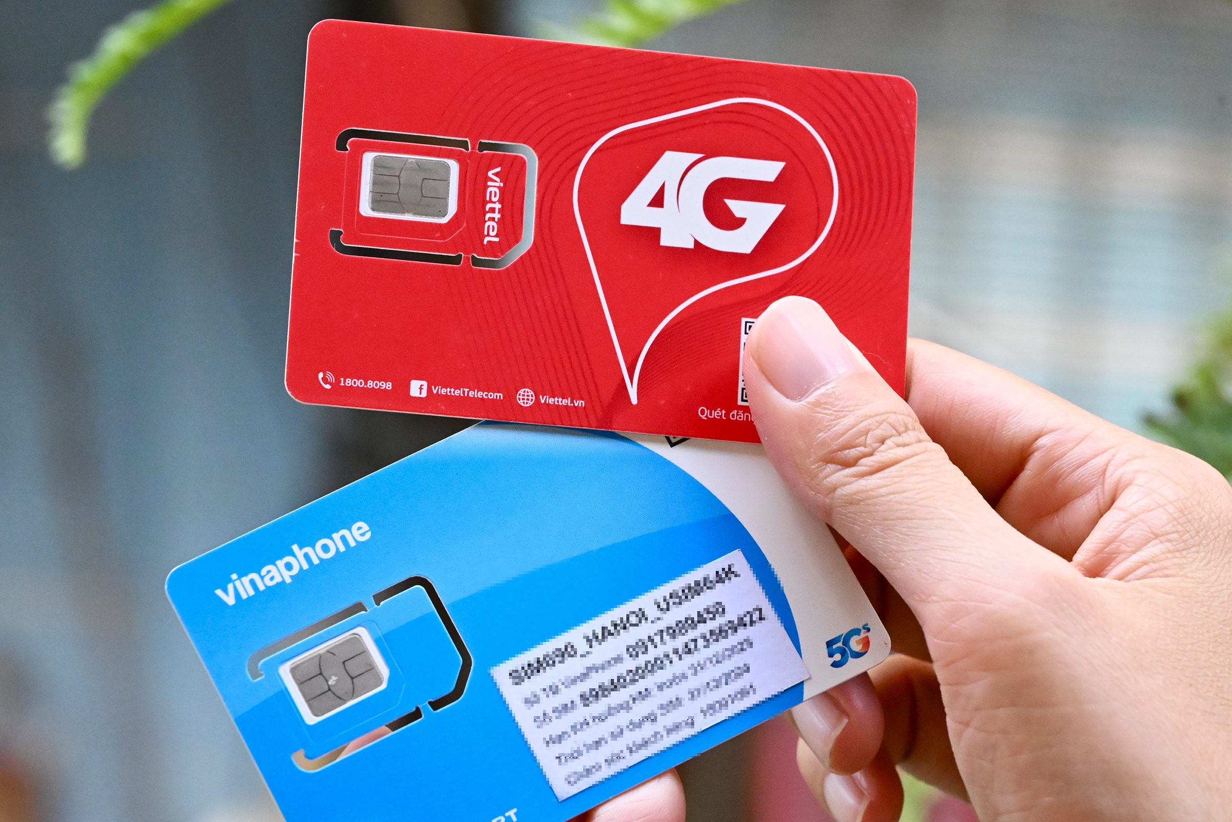 Nguy cơ từ lời chào mời 'mua SIM rác theo cân'