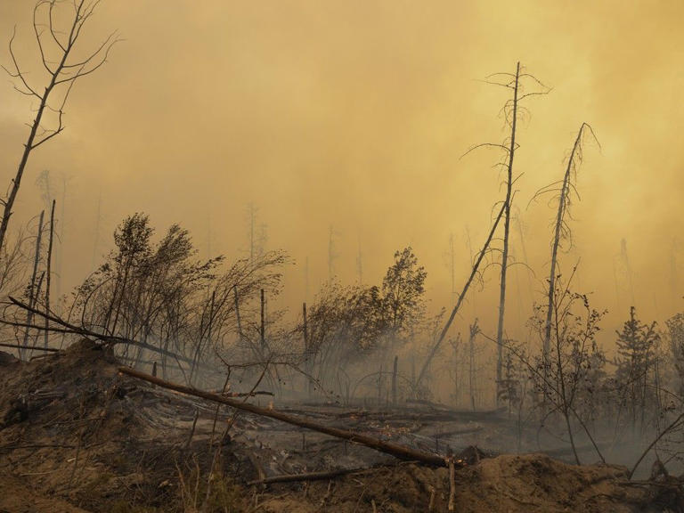 Sask. overspending on wildfires due to resource planning, tracking ...