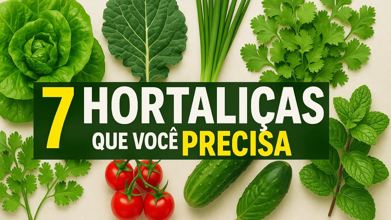 7 hortaliças essenciais para cultivar em casa com facilidade
