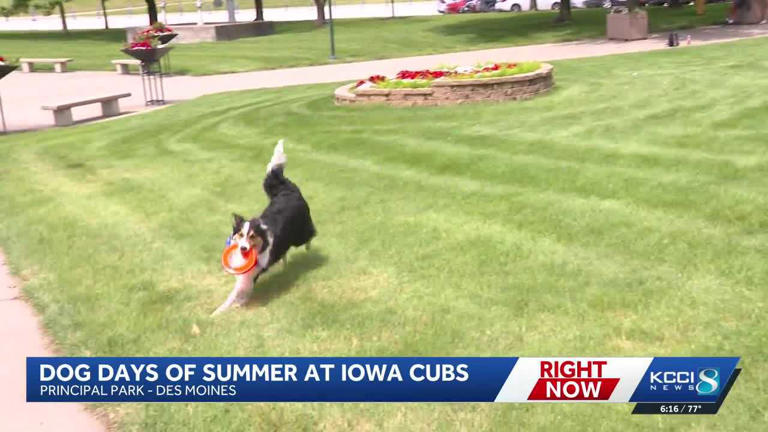 Dog days of summer brings pets and performances to Principal Park