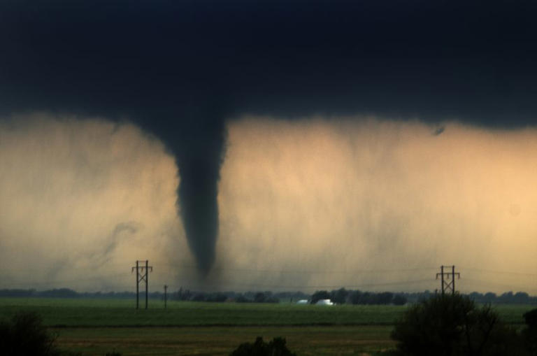 New emergency preparedness feature added to Bossier app and website
