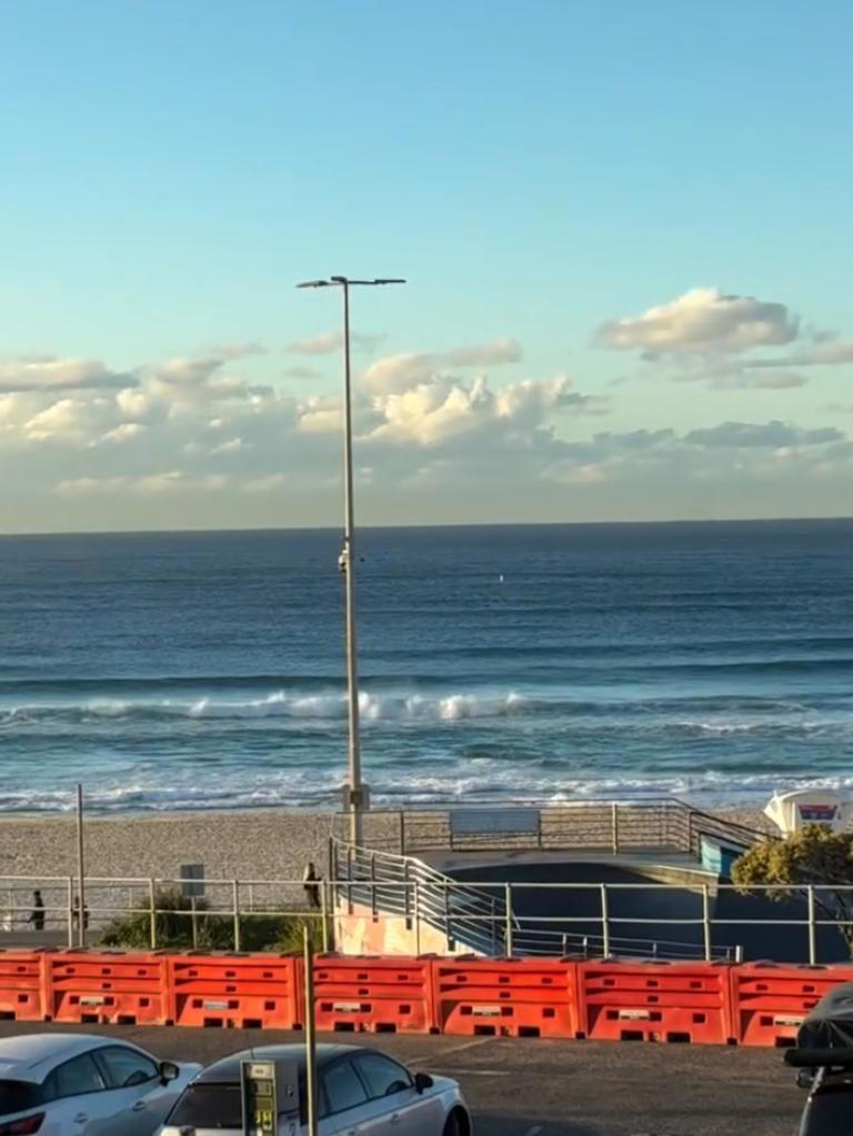 Eerie scenes as shark spotted at Bondi